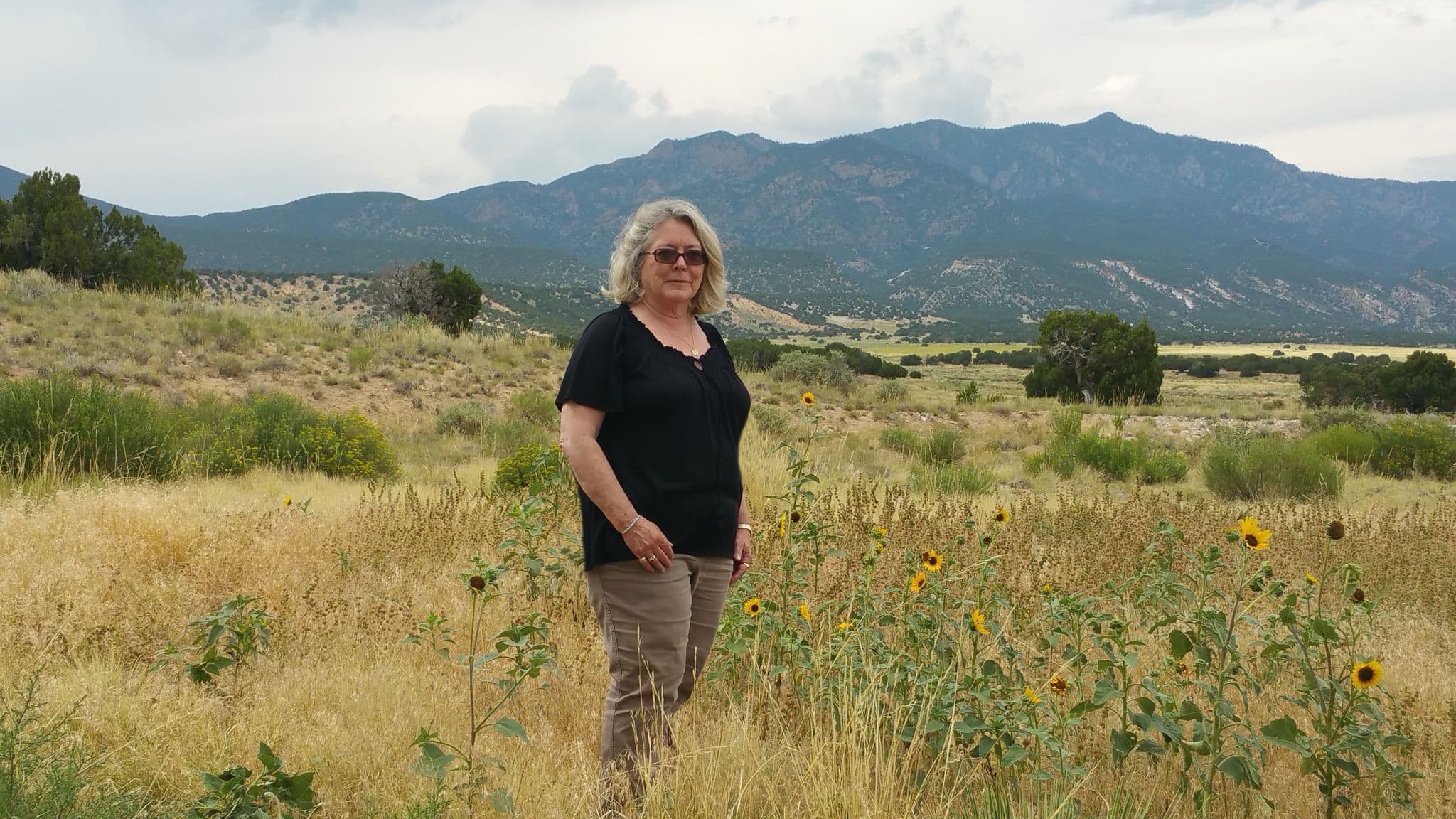 News & Views – Condor Publishing Inc